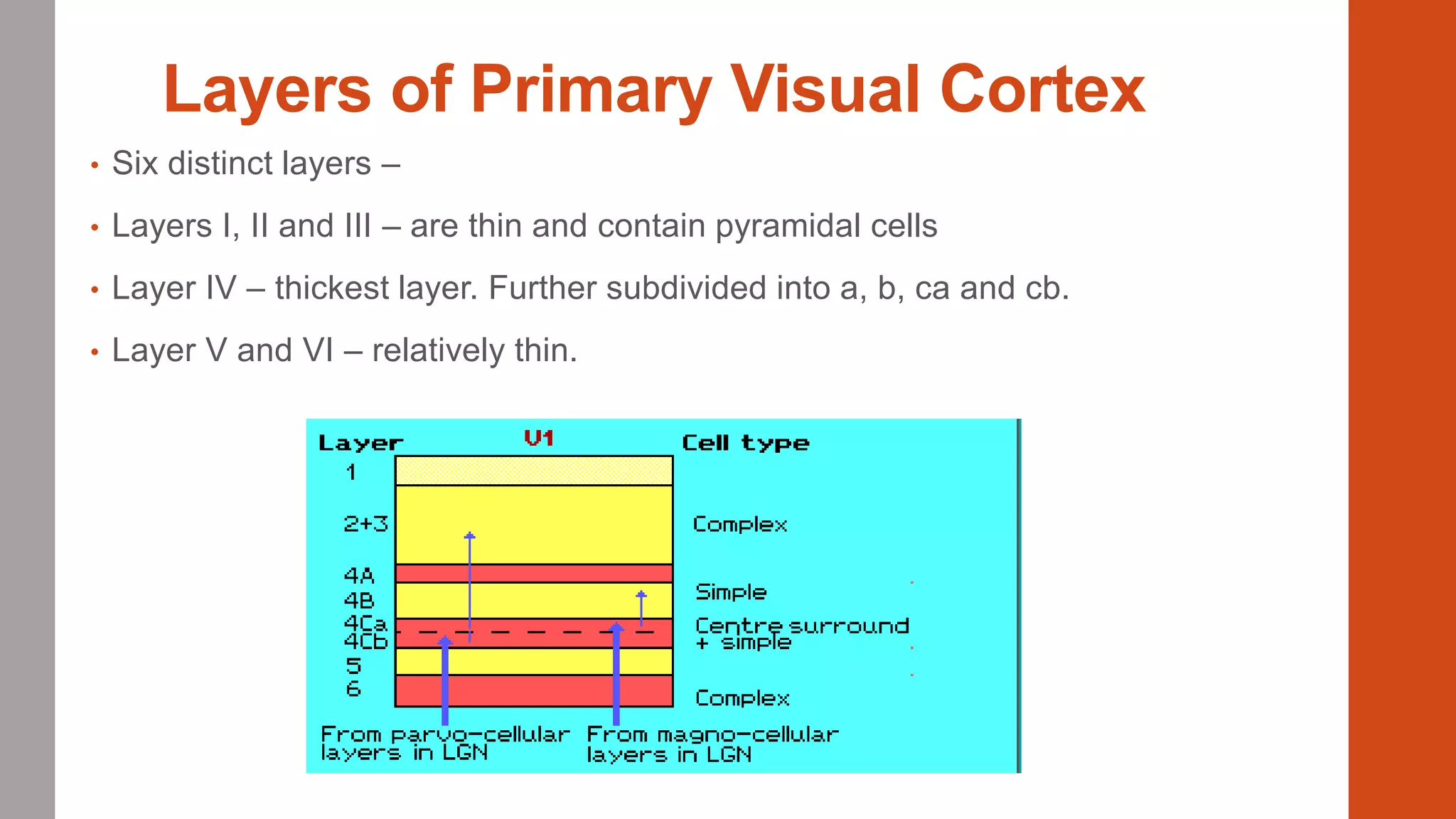 PHYSIOLOGY OF VISION | PPTX