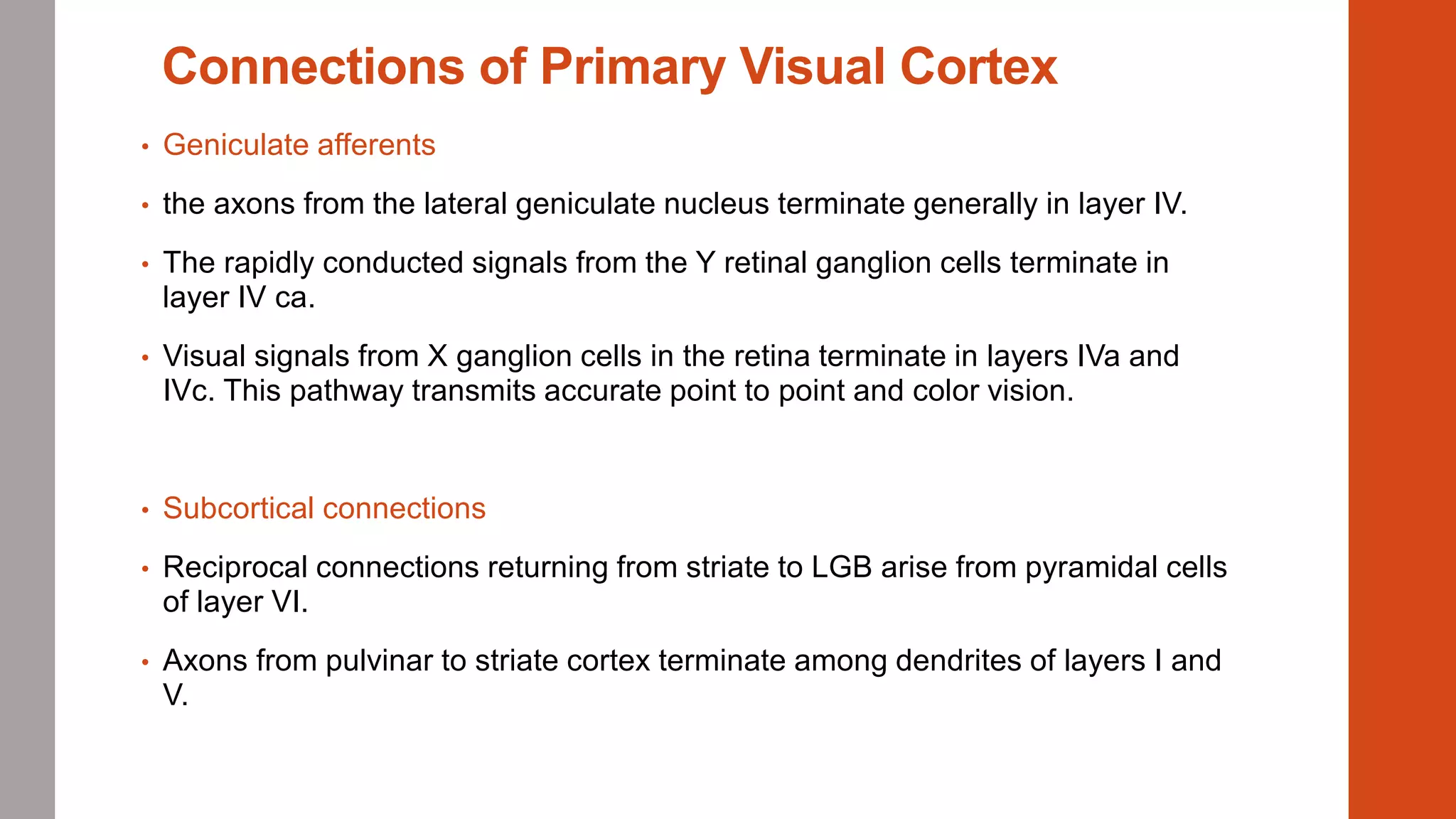 PHYSIOLOGY OF VISION | PPTX