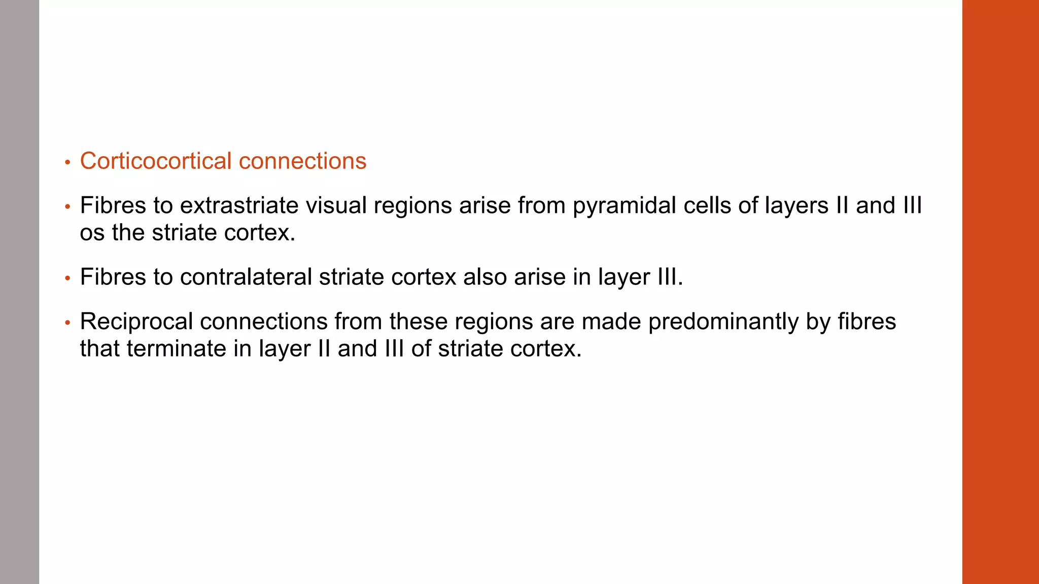 PHYSIOLOGY OF VISION | PPTX