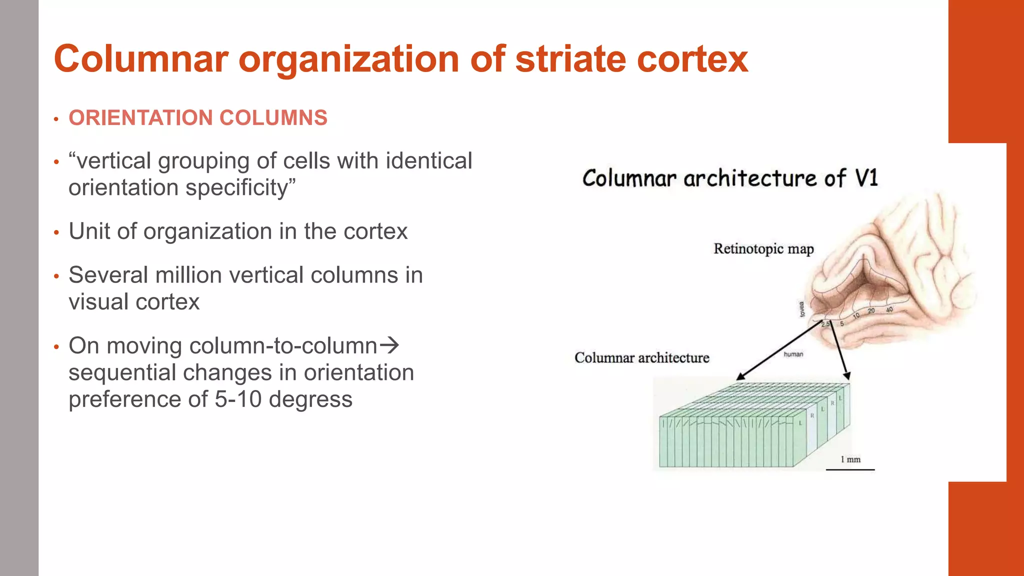 PHYSIOLOGY OF VISION | PPTX
