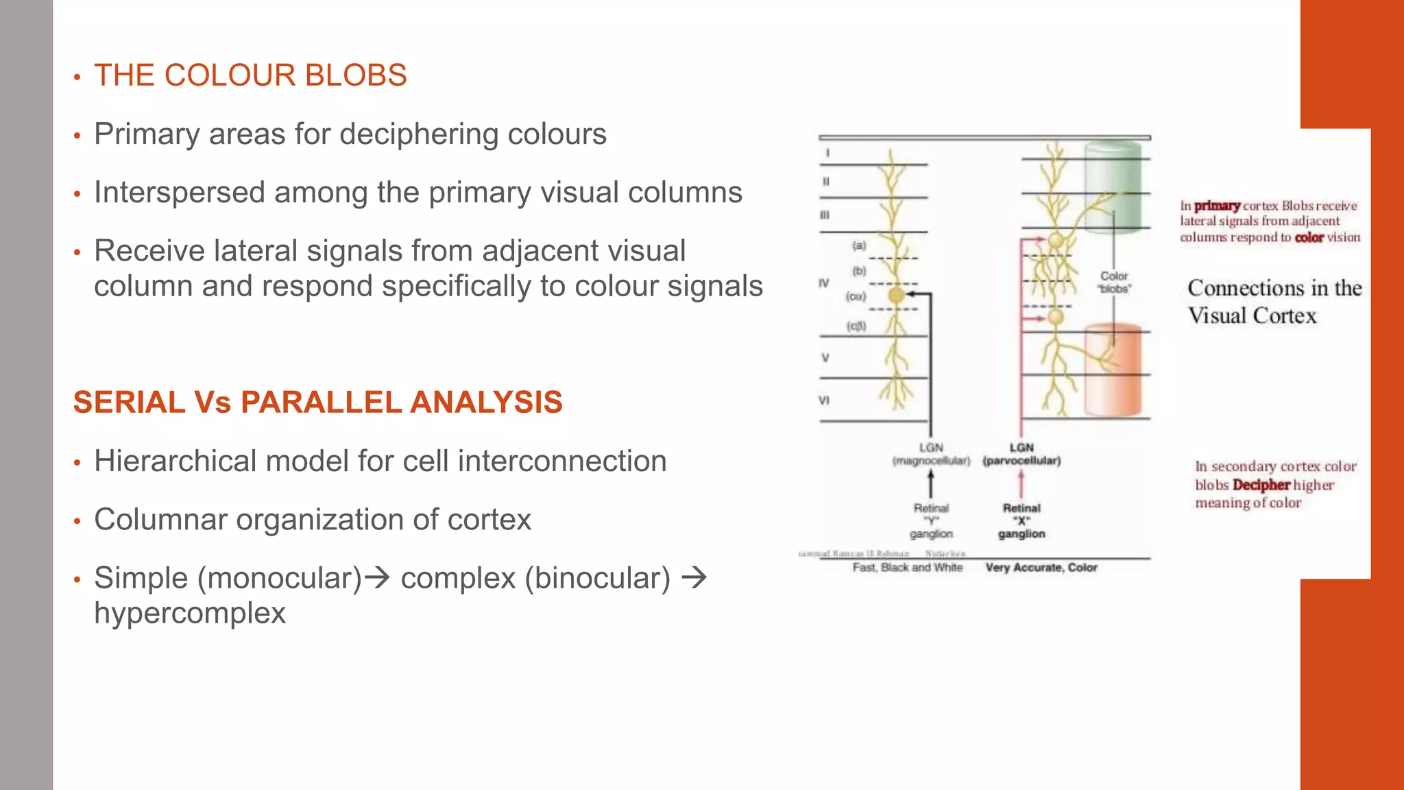 PHYSIOLOGY OF VISION | PPTX
