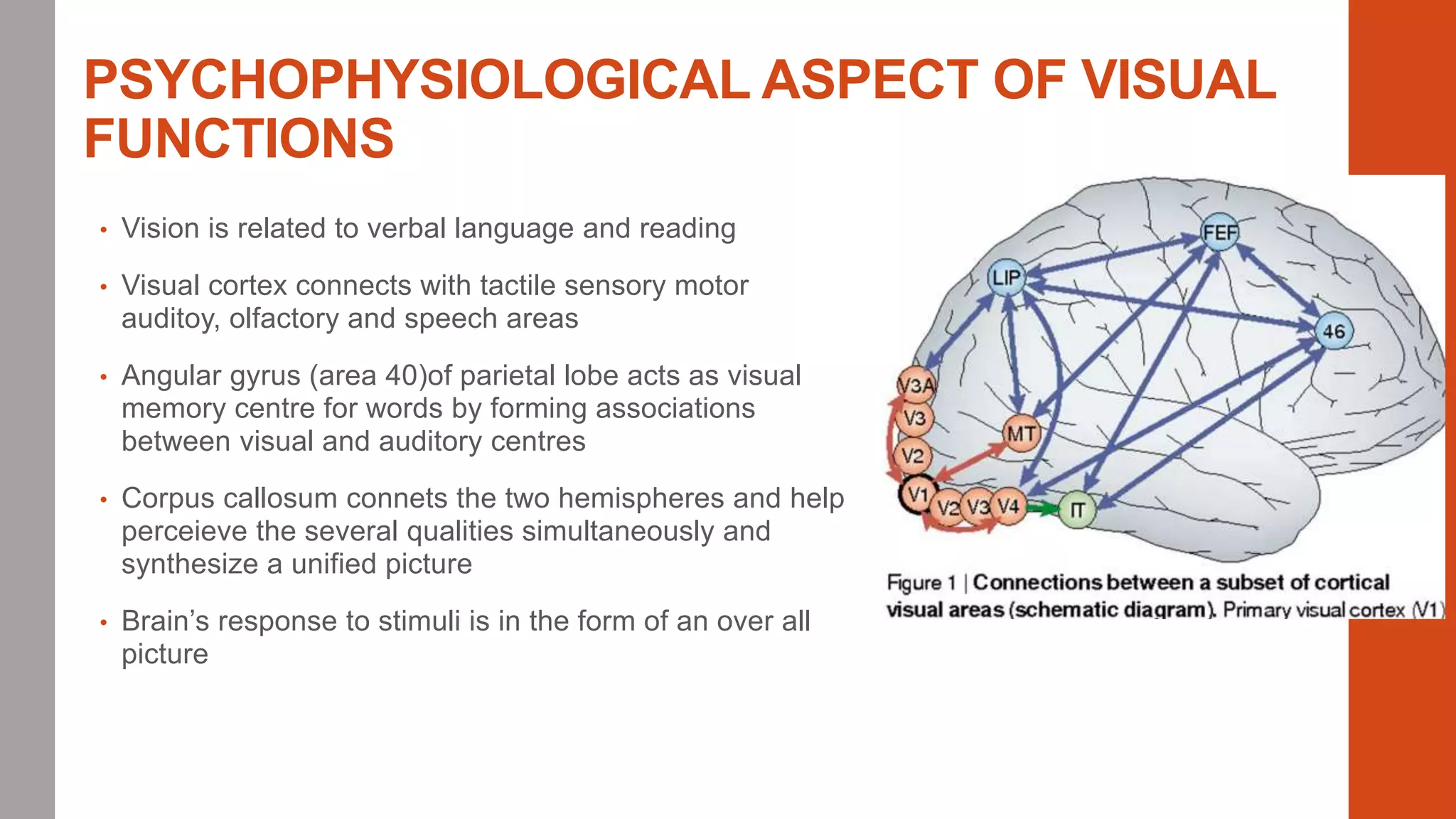 PHYSIOLOGY OF VISION | PPTX
