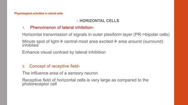 PHYSIOLOGY OF VISION | PPTX | Eye and Vision Conditions | Diseases and ...