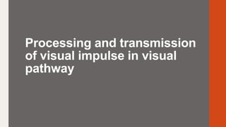 PHYSIOLOGY OF VISION | PPTX