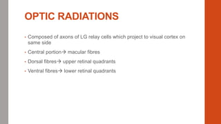 PHYSIOLOGY OF VISION | PPTX