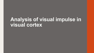 PHYSIOLOGY OF VISION | PPTX