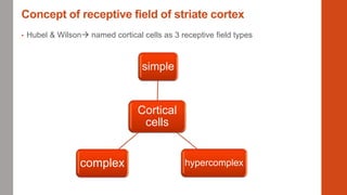 PHYSIOLOGY OF VISION | PPTX