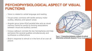 PHYSIOLOGY OF VISION | PPTX