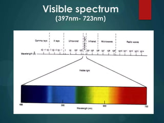 Comprehensive Physiology of Vision and Colour Vision Mechanisms | PPTX