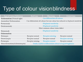 Comprehensive Physiology of Vision and Colour Vision Mechanisms | PPTX