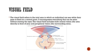 Physiology of Vision By Anas Md..pptx optho | PPTX