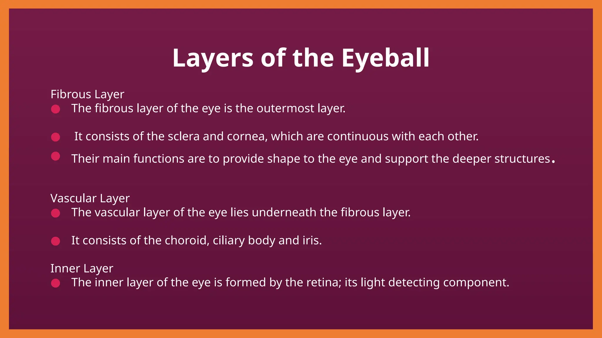Physiology of Vision By Devishkar Sukhan.pptx