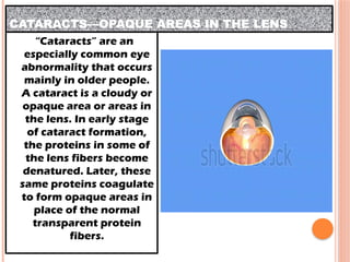 physiology of vision by Manupriya Bharti M.Sc. I year.pptx | Eye and ...