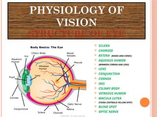 physiology of vision by Manupriya Bharti M.Sc. I year.pptx | Eye and Vision Conditions ...