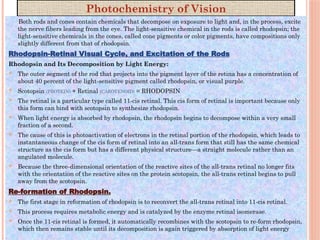 physiology of vision by Manupriya Bharti M.Sc. I year.pptx | Eye and ...