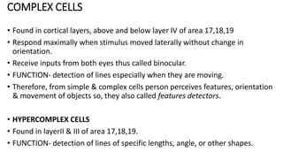 PHYSIOLOGY OF VISION ophthalmology post graduate | PDF