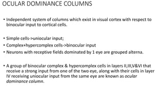 PHYSIOLOGY OF VISION ophthalmology post graduate | PDF