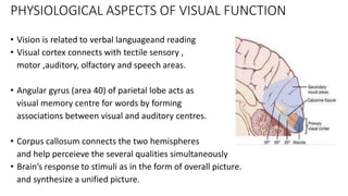 PHYSIOLOGY OF VISION ophthalmology post graduate | PDF