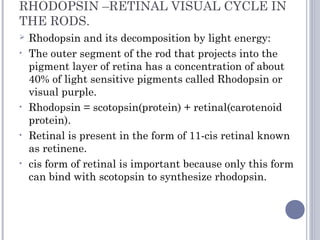 Physiology of visual cycle | PPT