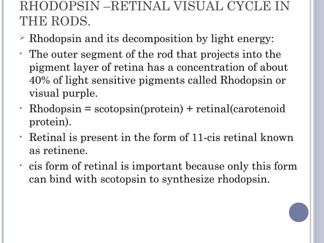 Physiology of visual cycle | PPT