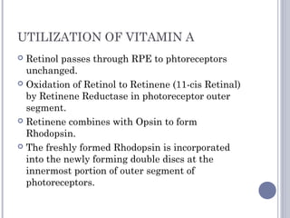 Physiology of visual cycle | PPT