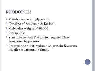 Physiology of visual cycle | PPT