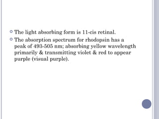 Physiology of visual cycle | PPT