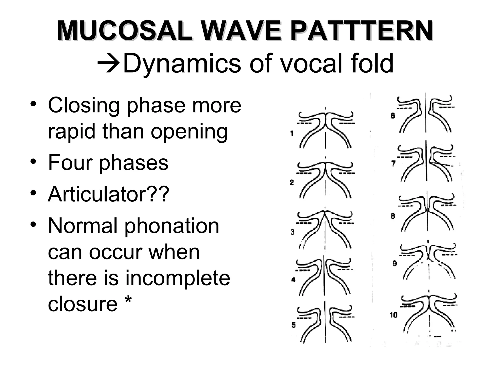 Physiology of voice and degulitition | PPT