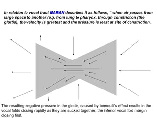 Physiology of voice and degulitition | PPT