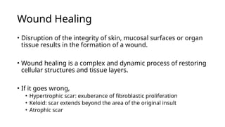 Physiology of wound and tendon healing.pptx