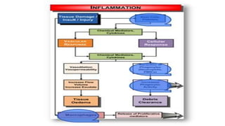 Physiology of wound healing | PPTX