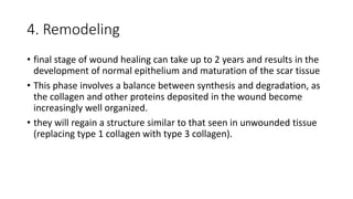 Physiology of wound healing | PPTX