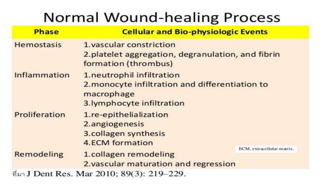 Physiology of wound healing | PPTX | Chemistry | Science