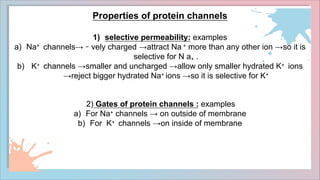 transport through cell membrane part 2 | PPT
