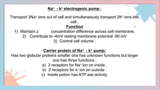 transport through cell membrane part 2 | PDF