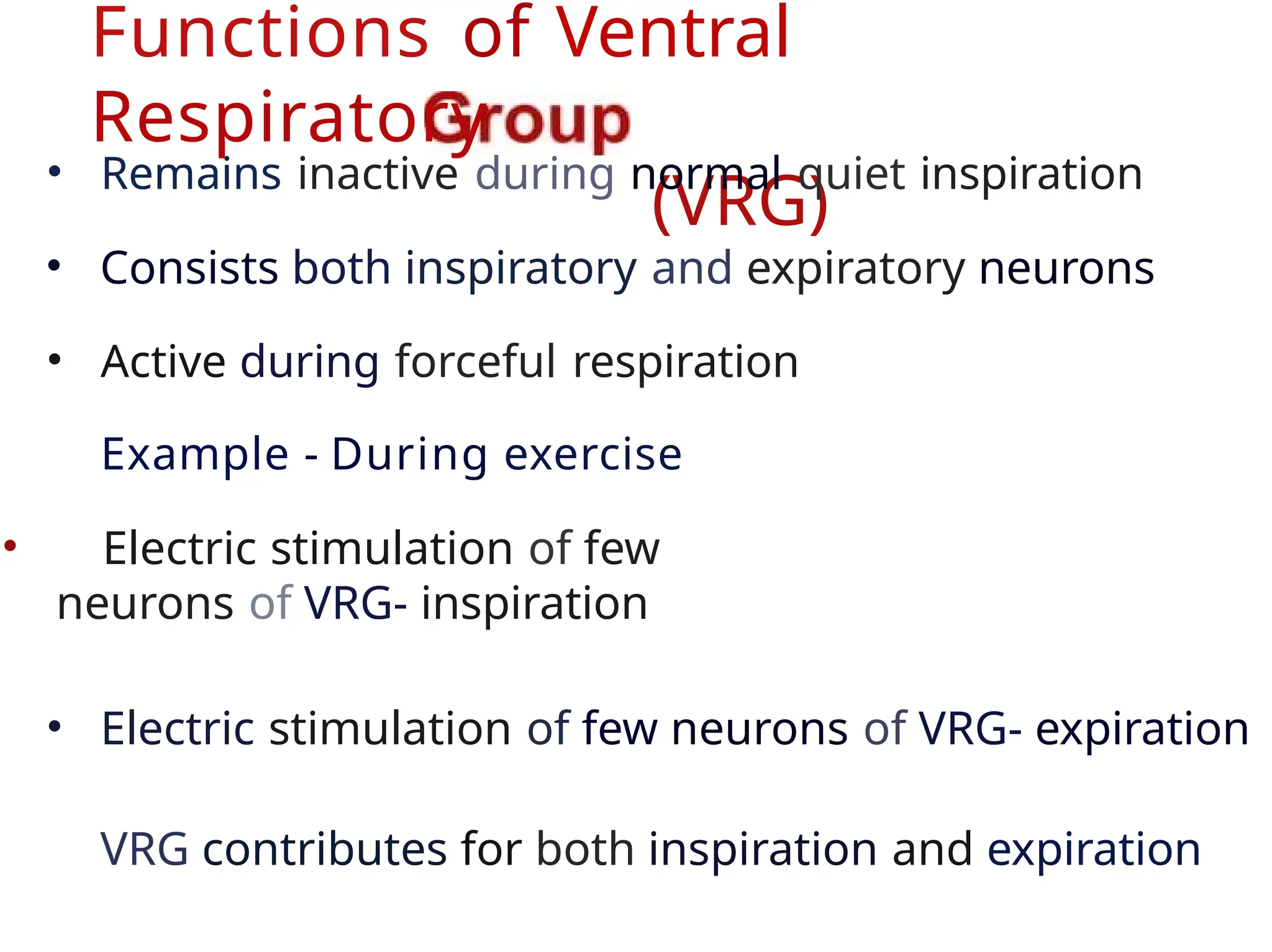 neural regulation of respiration a topic of basics sciences | PPT