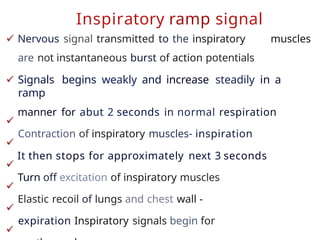neural regulation of respiration a topic of basics sciences | PPT
