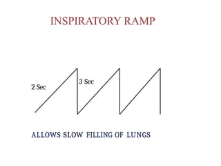 neural regulation of respiration a topic of basics sciences | PPT