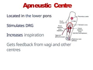 neural regulation of respiration a topic of basics sciences | PPTX