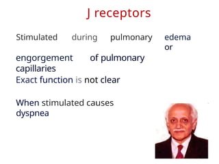 neural regulation of respiration a topic of basics sciences | PPTX