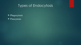 Physiology Phagocytosis and pinocytosis.pptx