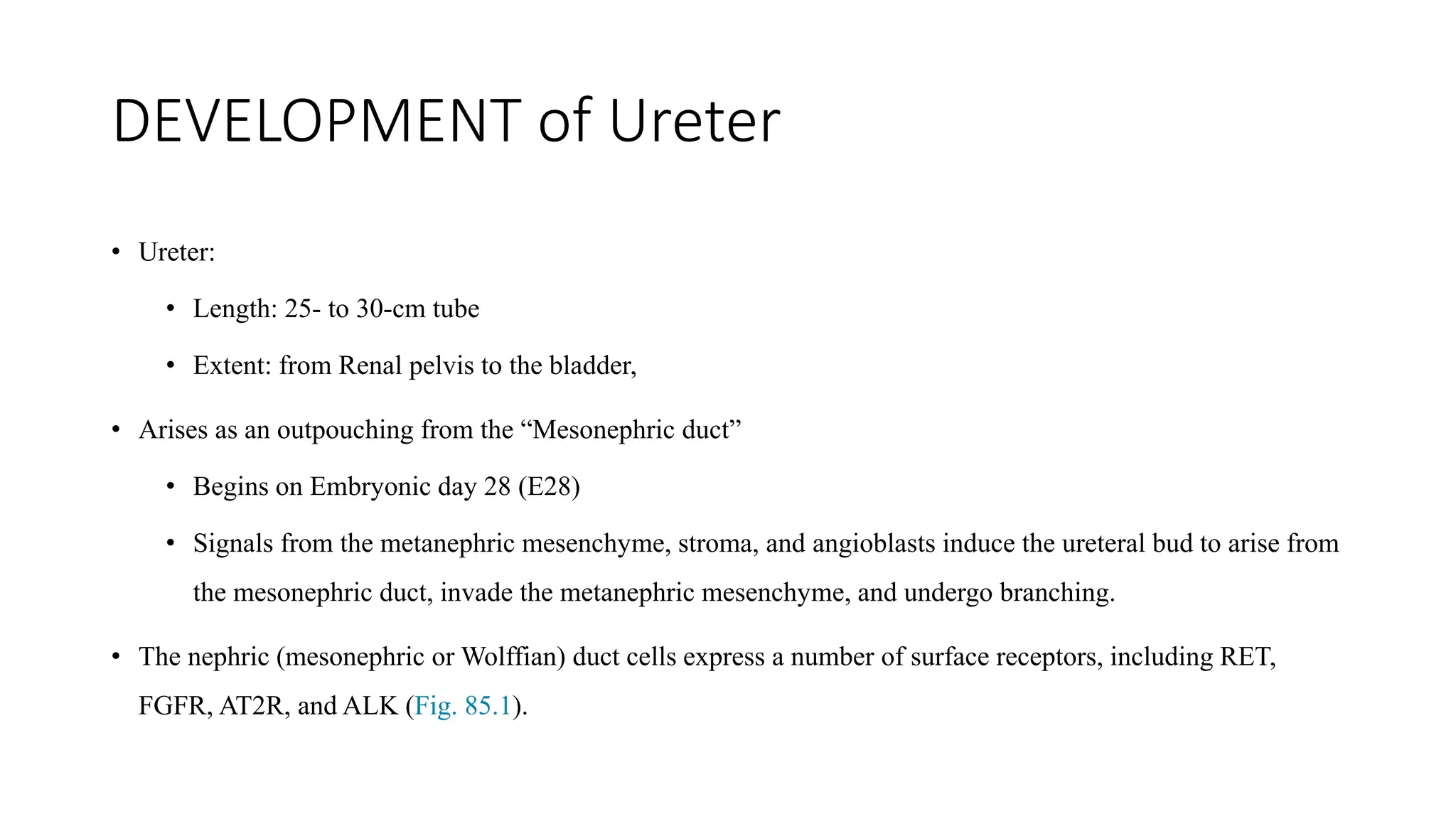 Physiology & Pharmacology of Renal pelvis and Ureter.pptx