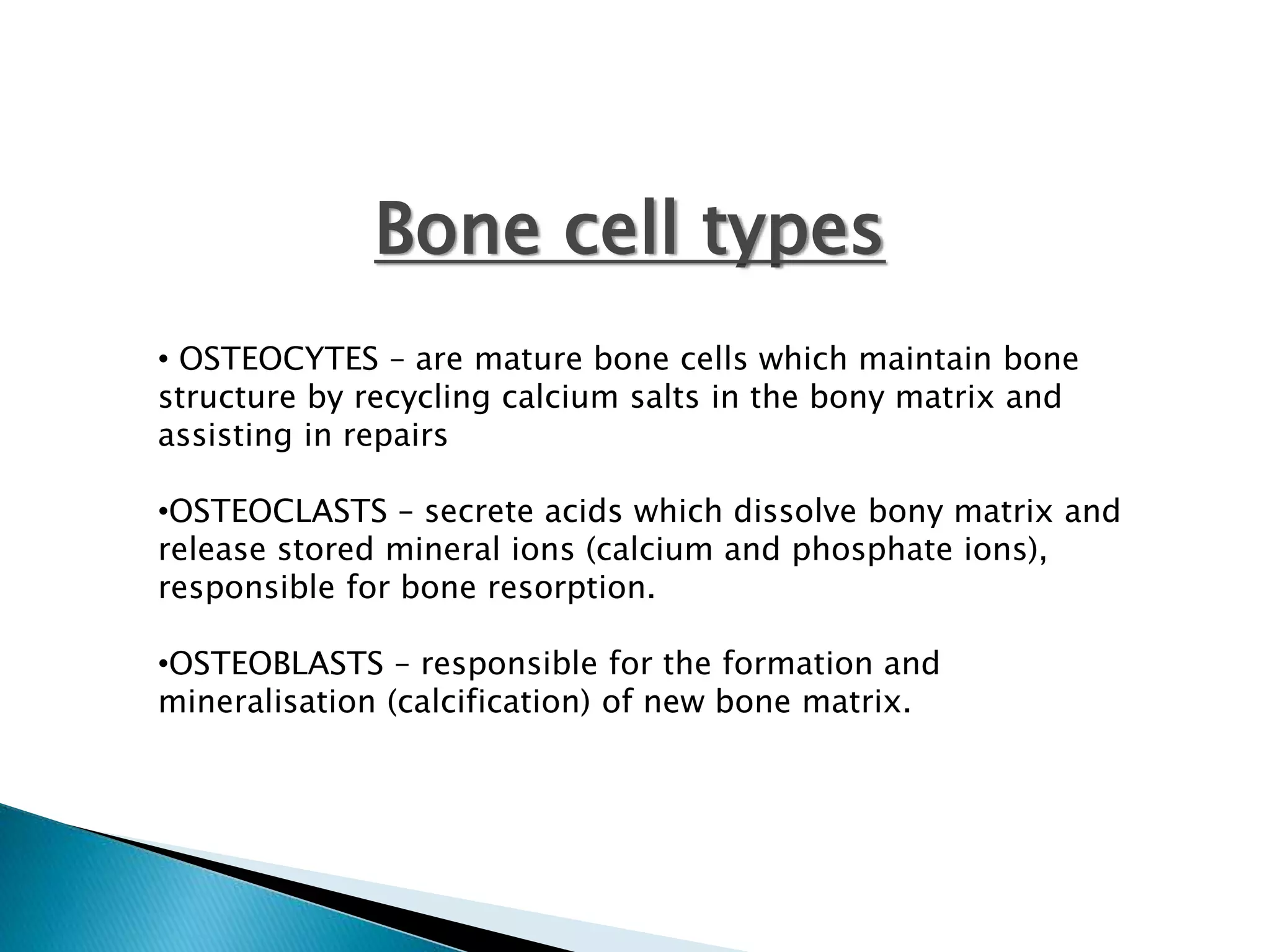 The control of bone growth and repair | PPTX