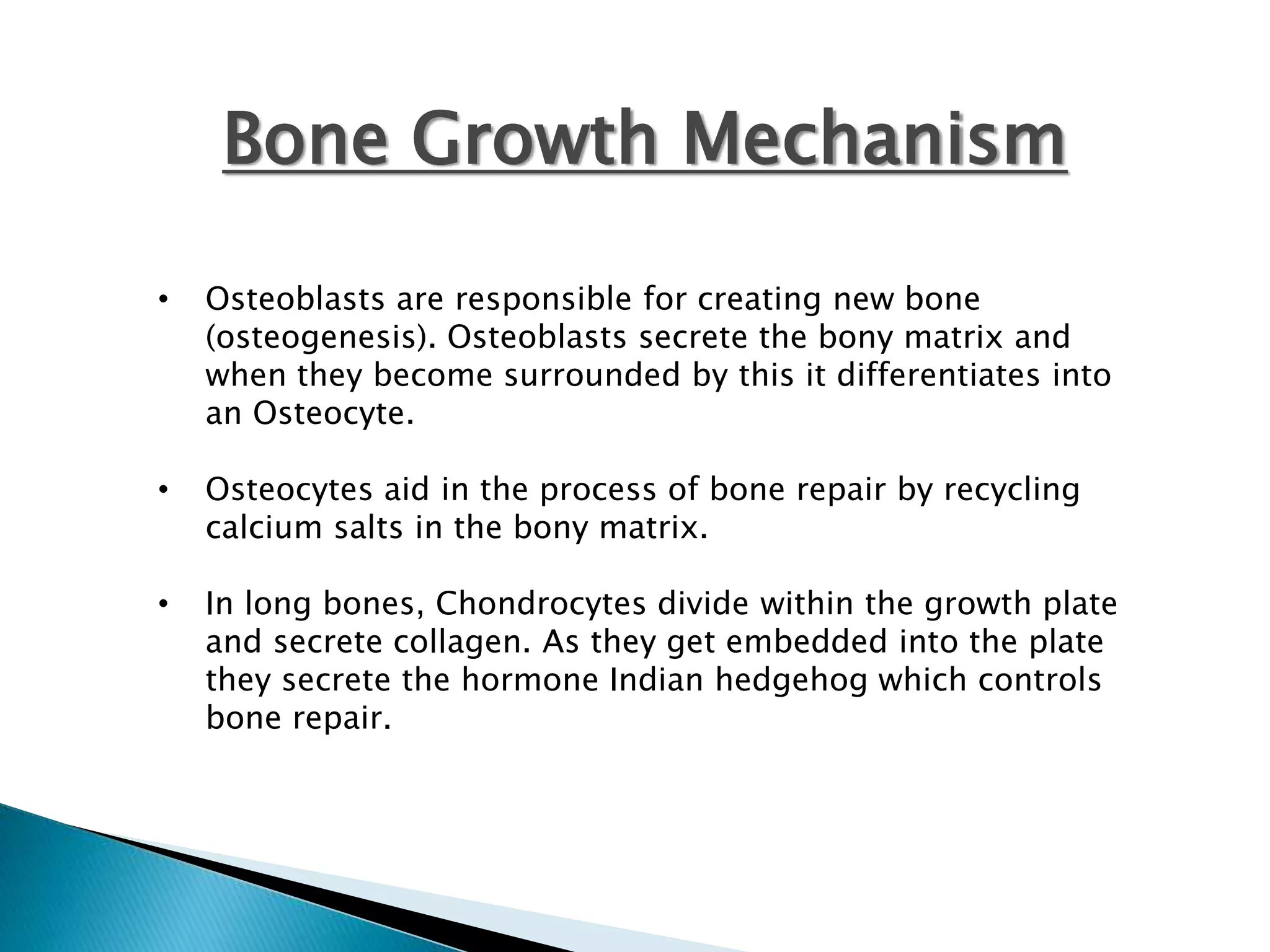The control of bone growth and repair | PPTX
