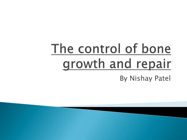 The control of bone growth and repair | PPTX | Bone and Joint ...