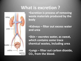 Physiology ppt | PPTX
