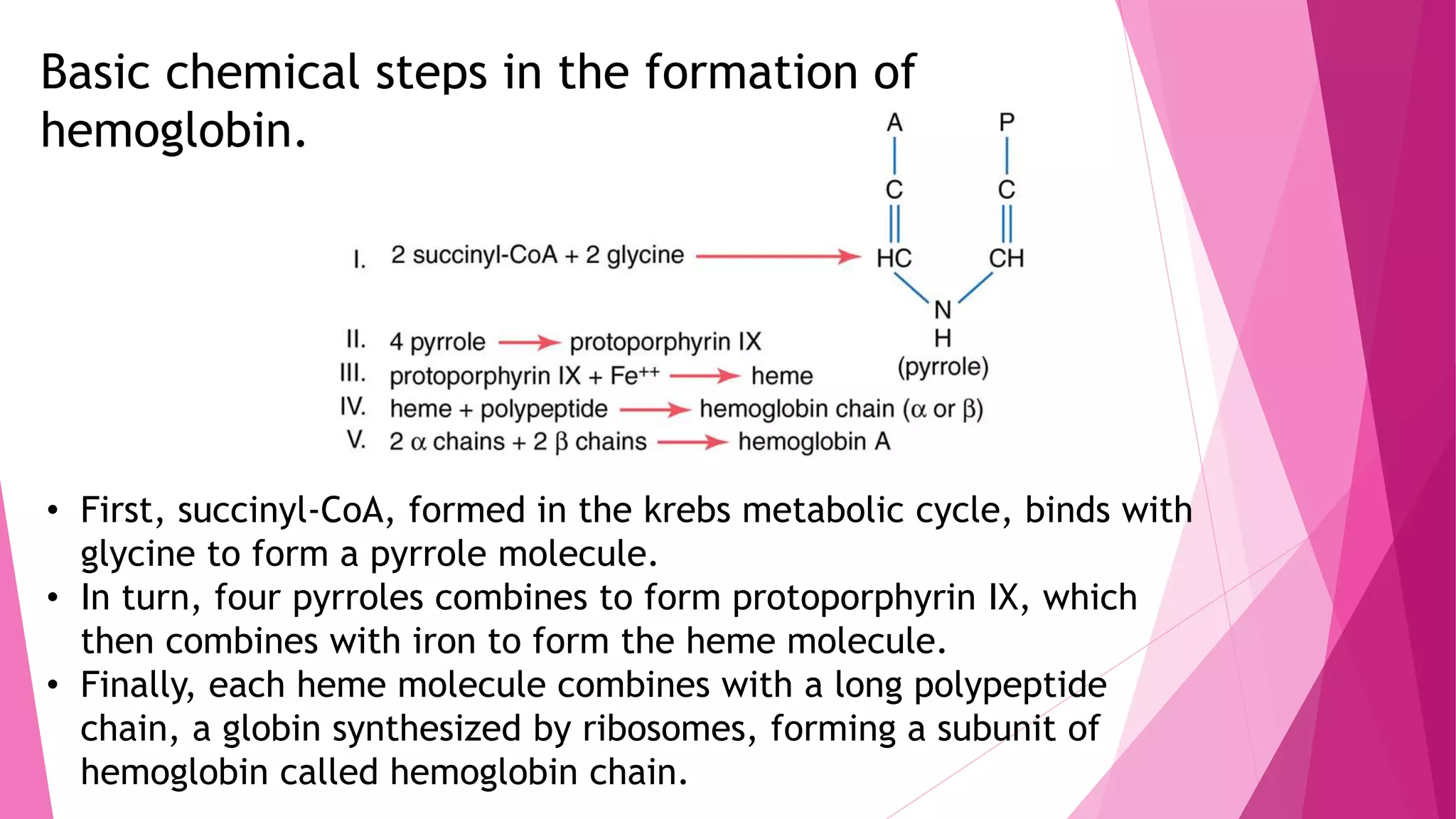 Structure Of Hemoglobin and Difference between Fetal and Adult ...