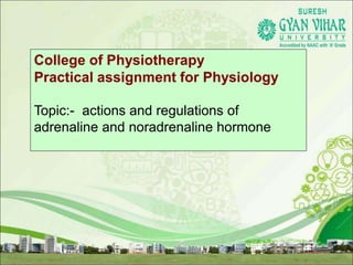BioPhysiology practical assignment.pptx. | PPT