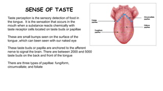 Human physiology presentation For Master's | PDF