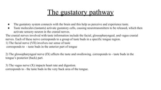 Human physiology presentation For Master's | PDF